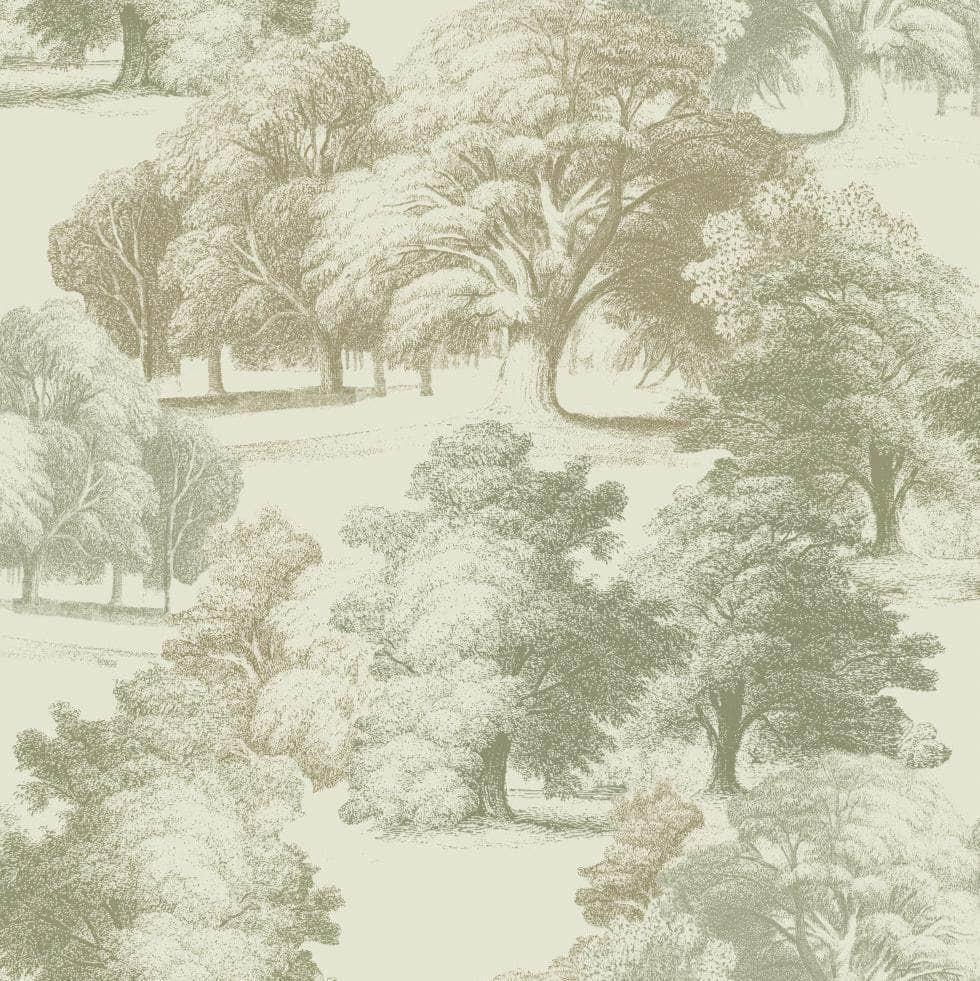 Grandeco Sample - 204701 | Taskers Online Store, Liverpool & Manchester