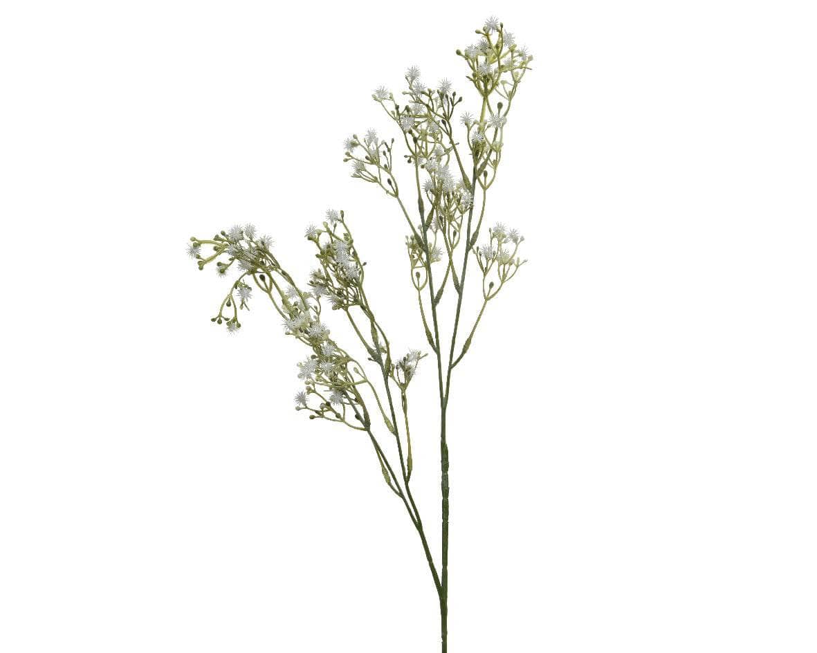 Dandelion Spray - White | Taskers Online Store, Liverpool & Manchester