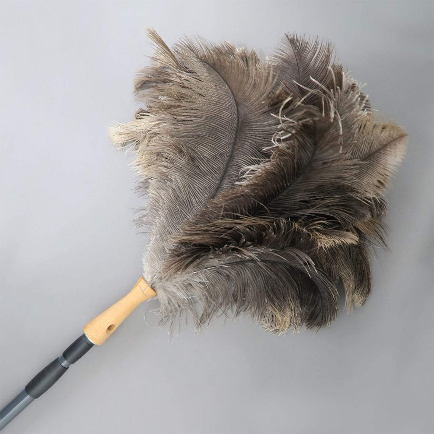 Extended Feather Duster | Taskers Online Store, Liverpool & Manchester